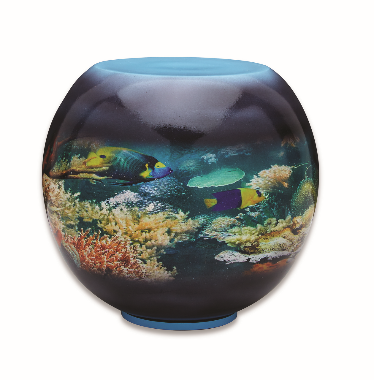 Fish Bowl