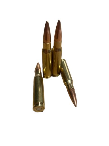 308 168gr BTHP Match