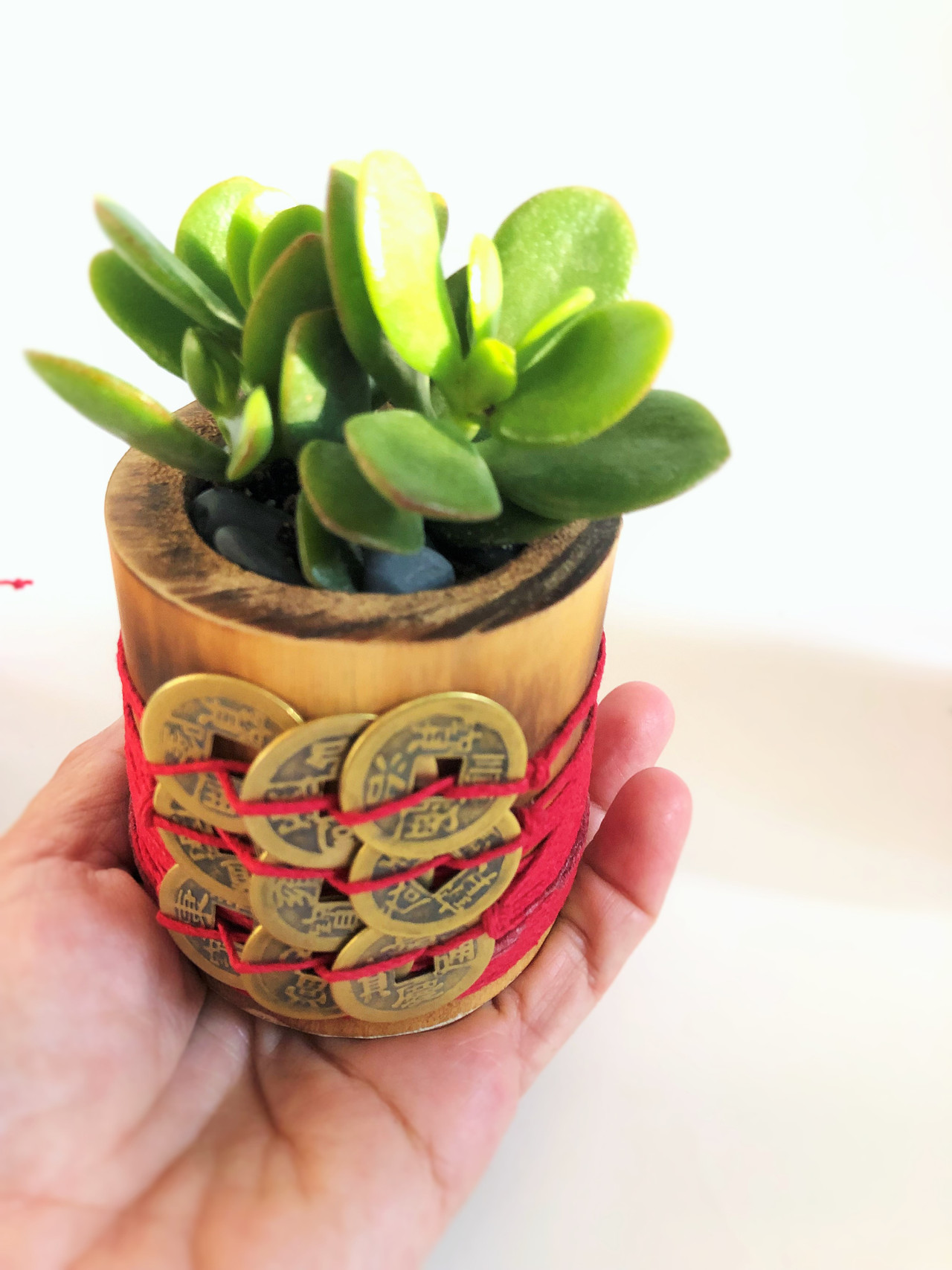 Feng Shui Coin for Wealth