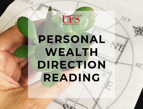 READING OF YOUR LUCKY WEALTH DIRECTION. - Unique Feng Shui™