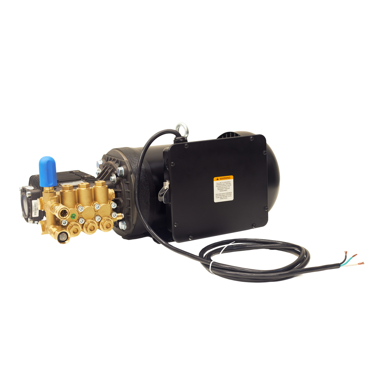 Canpump Electric Pressure Washer: 7.5 hp Motor 240 V, Triplex Pump