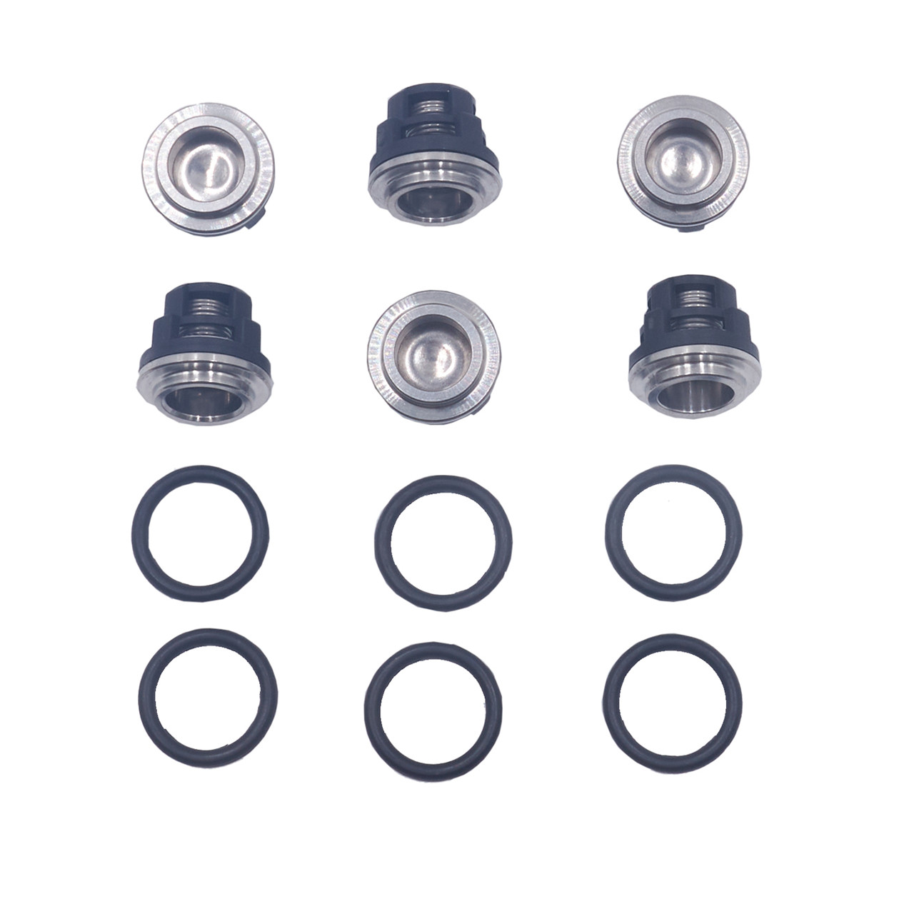GC Kit #33: Check Valves + O-rings for Canpump Triplex Pumps