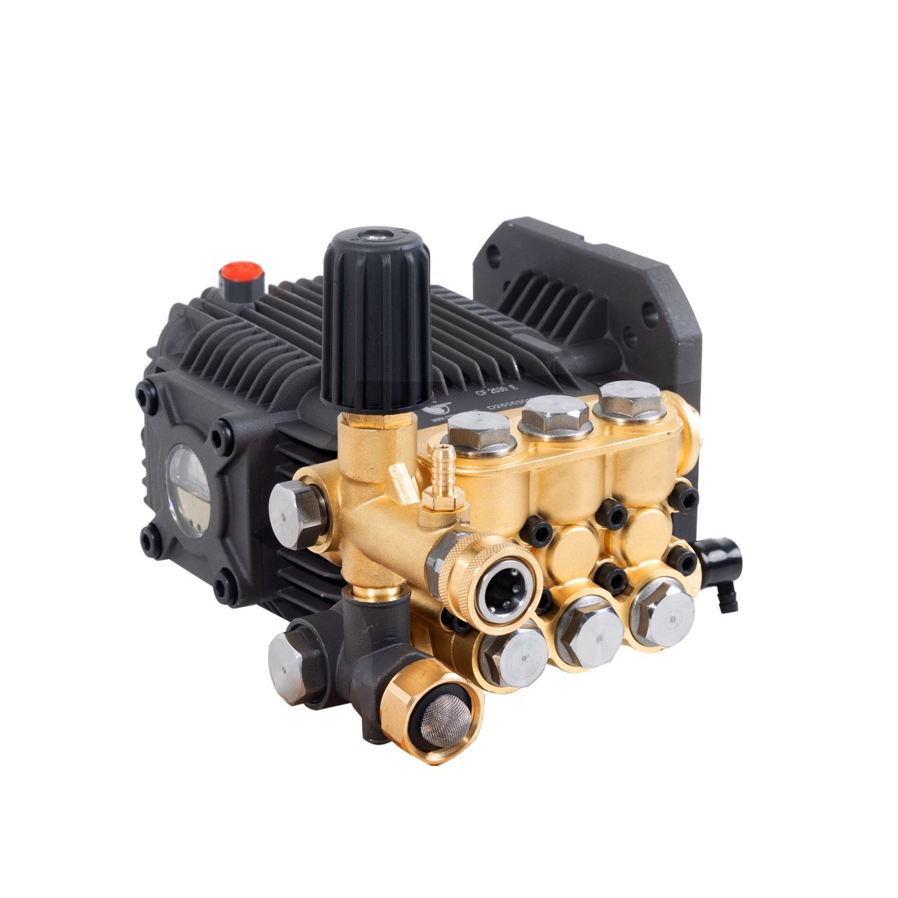 Canpump CF 2530 E: 2500 psi @ 3.0 US gpm, 5/8 in Shaft Pressure Washer Pump