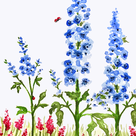 July's Birth Flower - KimberlyShawGraphics.com