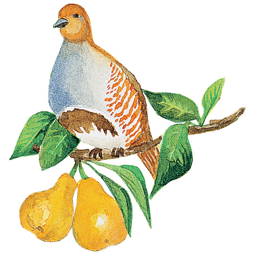 12 Days of Christmas Song Meaning - KimberlyShawGraphics.com