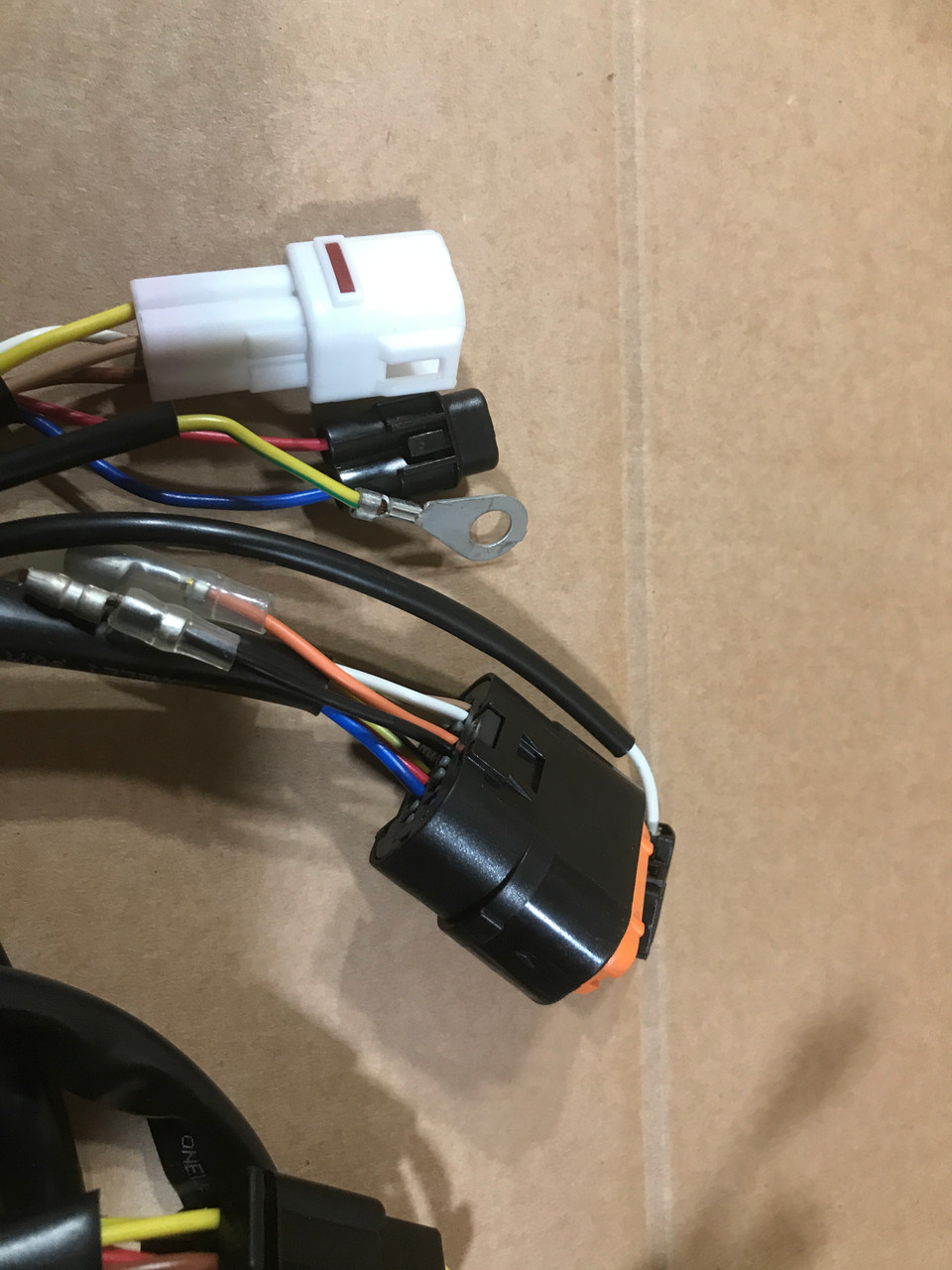 Gas Gas EC Wiring Loom Lite, Genuine, NOS, EE10000RP-CAW-1