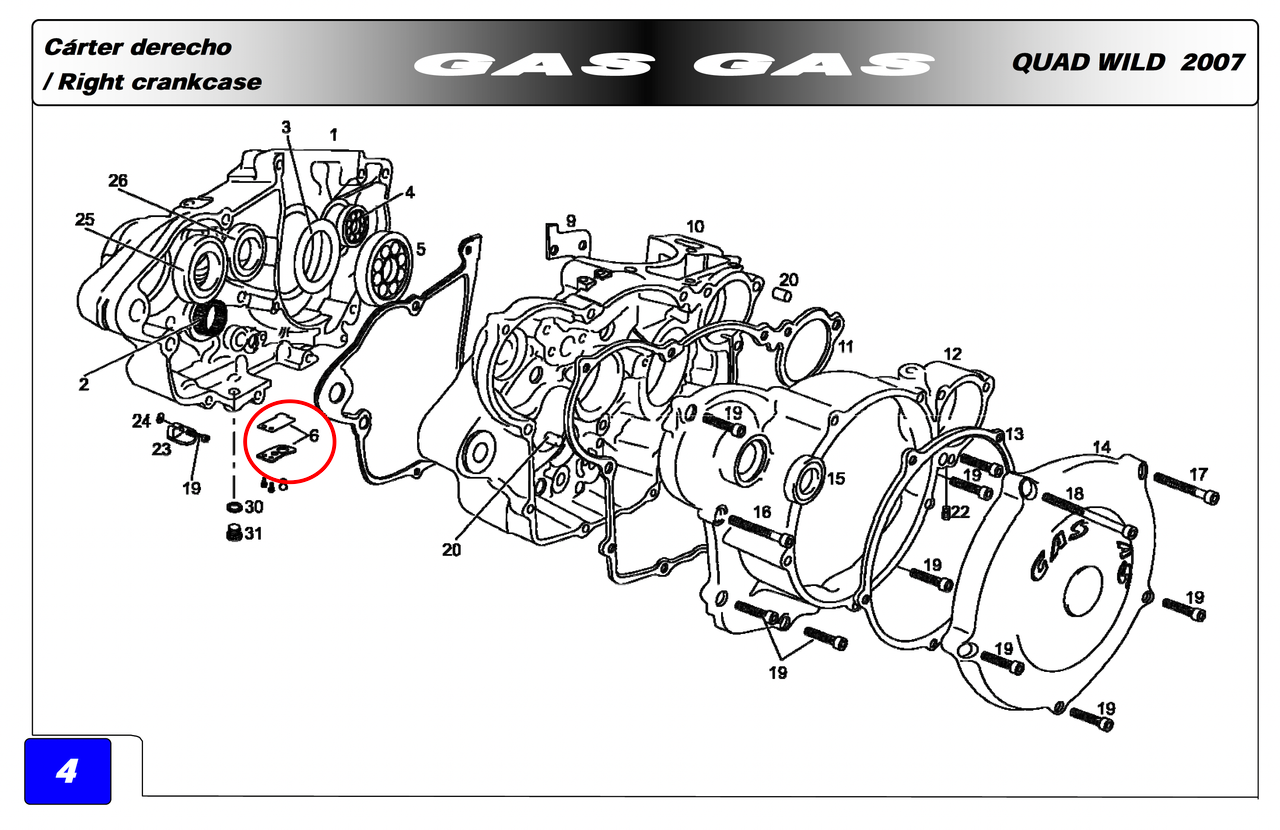 Gas Gas Reed Kit, For HP Wild,FSE,FSR,EC,Pampera