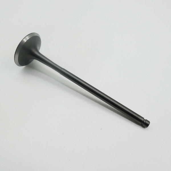 Gas Gas Cami, AJP PR5, Intake Valve Pair, 15701ME300000 -Shop Now