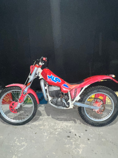 Beta B3 Alp, Will Arrive Early Sept 2024 -Shop Now