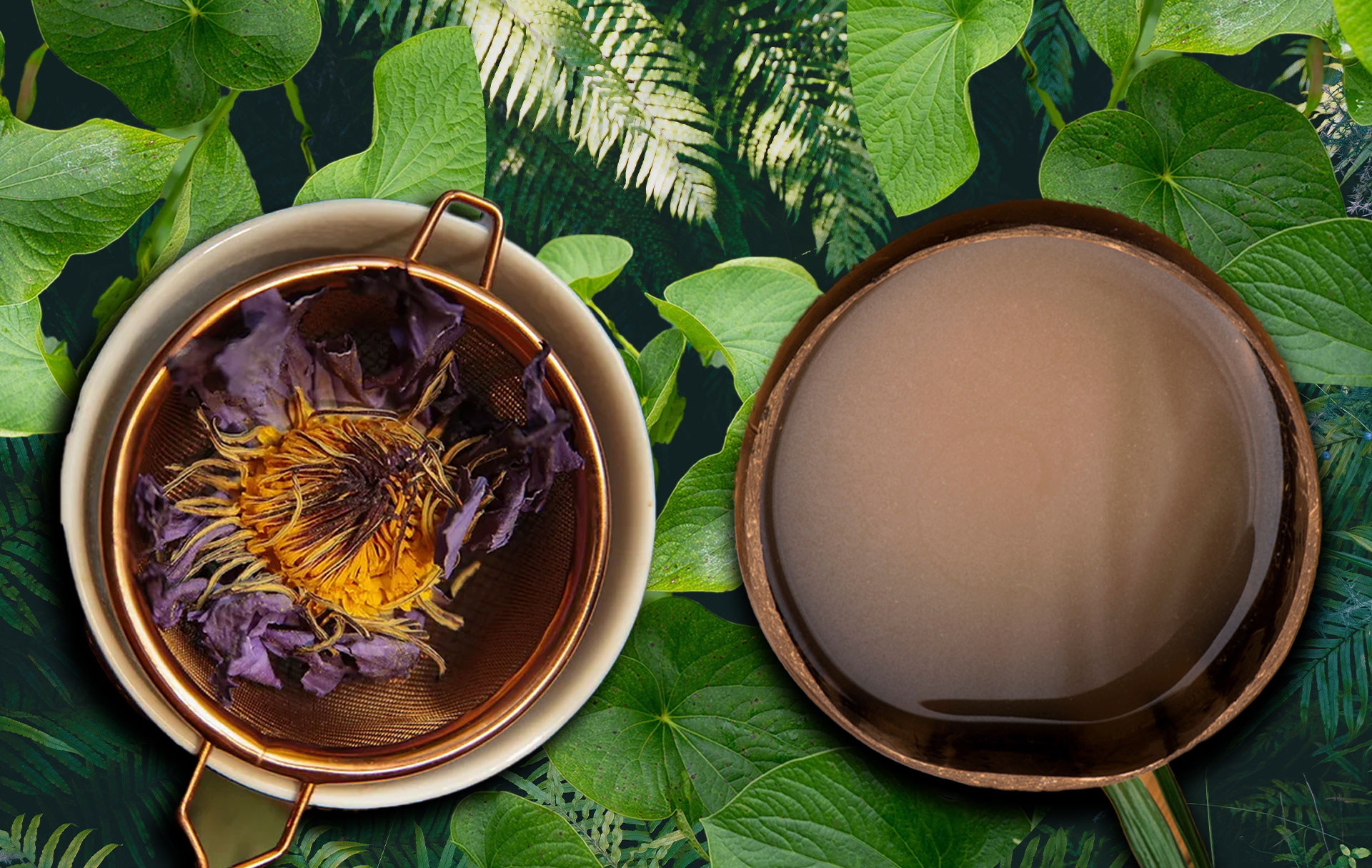 What Is the Difference Between Kava Tea and Blue Lotus Tea? - Granite ...