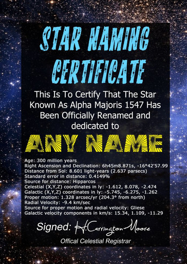 Star Naming Fun Personalised Name A Star Certificate - Party Animal Print