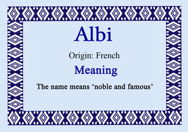 Albi Personalised Name Meaning Certificate - Party Animal Print