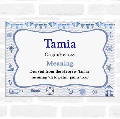 Tamia Name Meaning Nautical Certificate - Party Animal Print