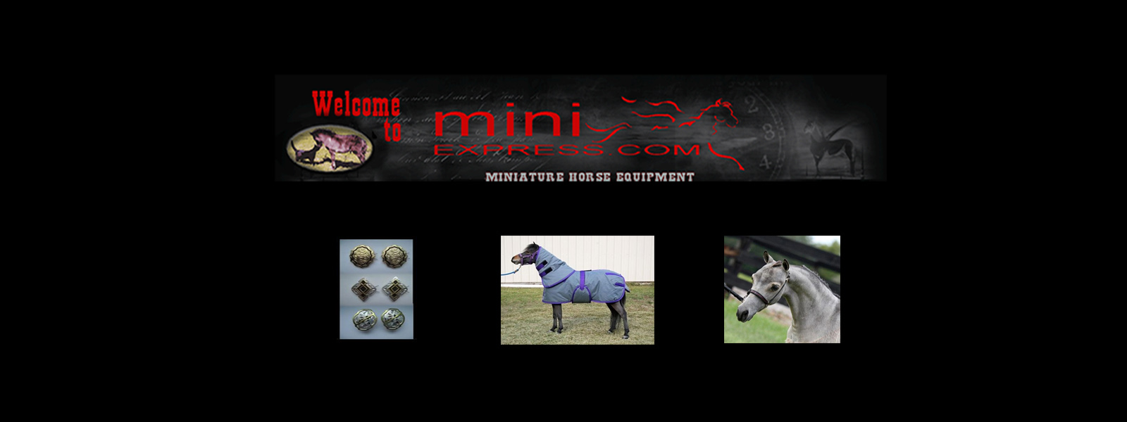 Mini Express Miniature Horse Equipment