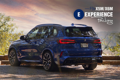 Dinan F9x X5M/X6M Experience Package (E) | F9X-X5MX6M-S63-E-BA