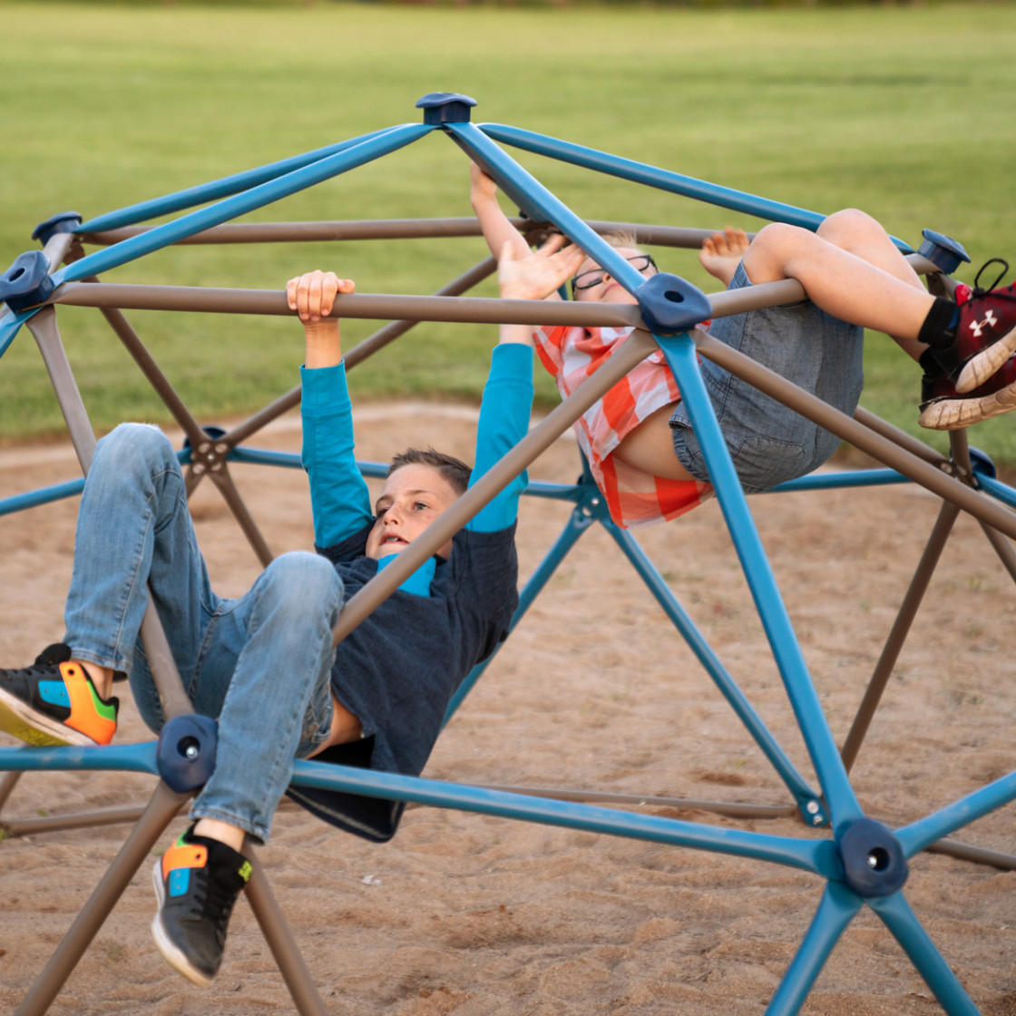 Lifetime Backyard Climbing Dome - SwingSetMall.com