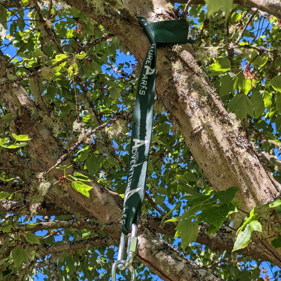 How to Hang a Swing From a Tree With Chain, Straps, or Rope ...