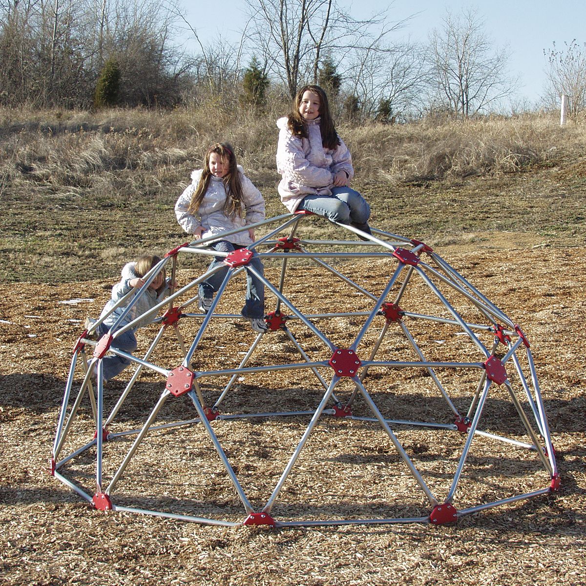 Best Climbing Dome for Kids - SwingSetMall.com