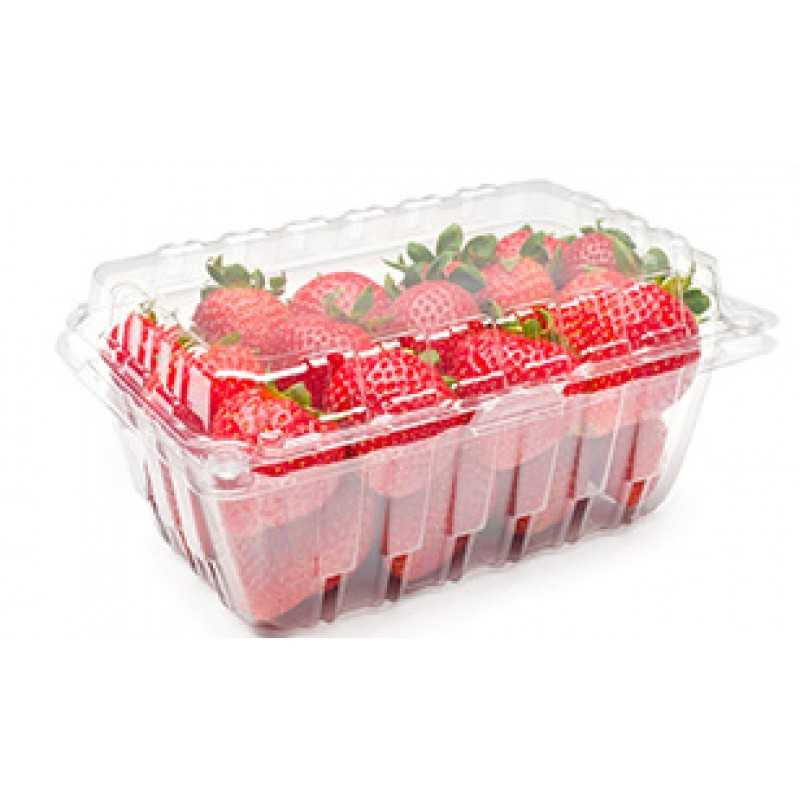 Shop Fruit Punnet Packaging | Plastic Fruit Punnets for Sale