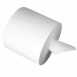 Blue Centre feed paper rolls Towel 2ply , kitchen rolls