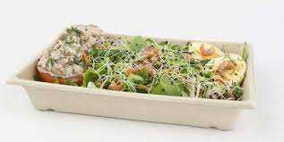 B2B UK of Sabert Pagoda Rect. Pulp Tray PUL1622024 750ml-
