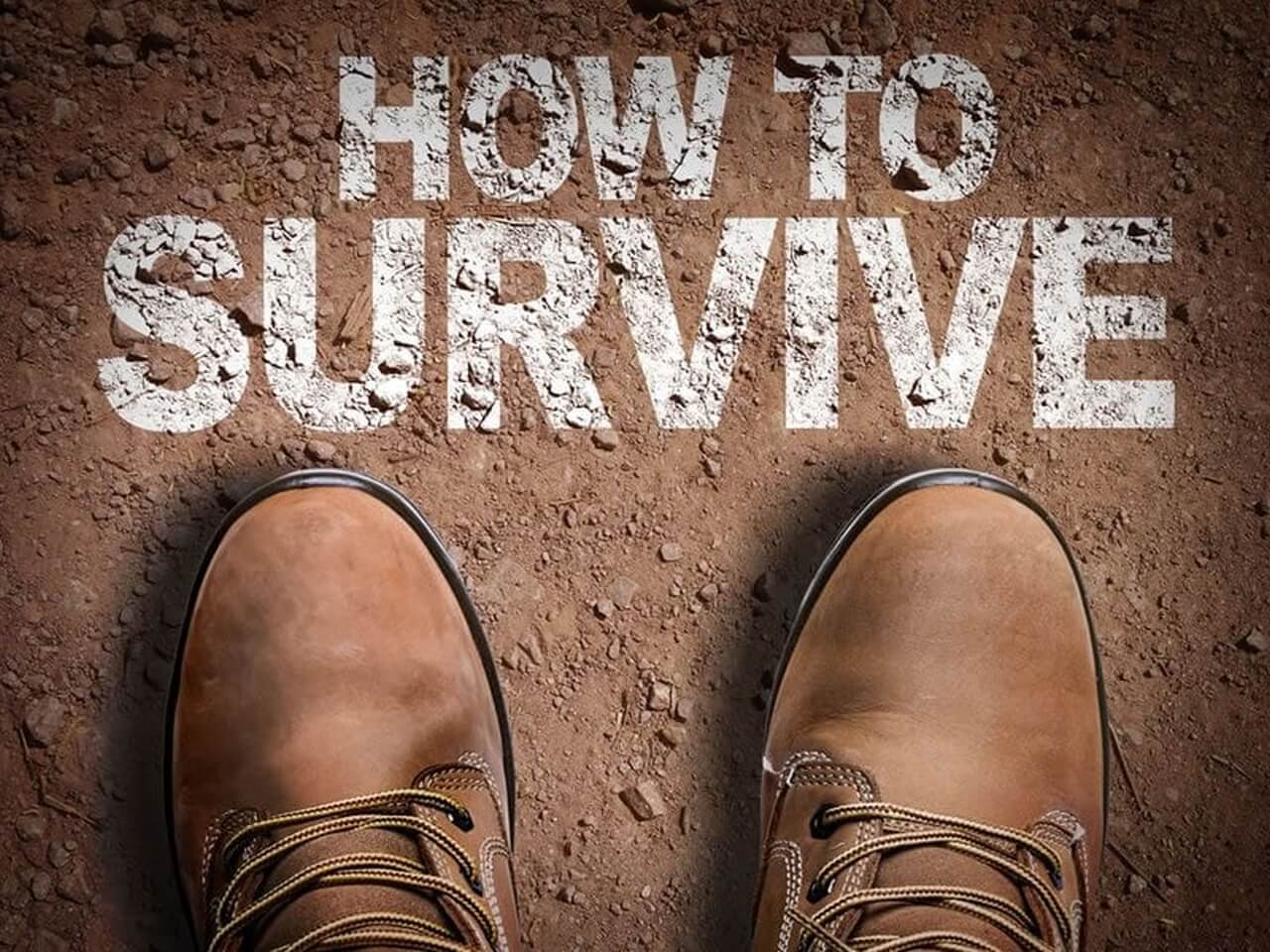 Beginner Emergency Survival Guide - Survival Pro Shop