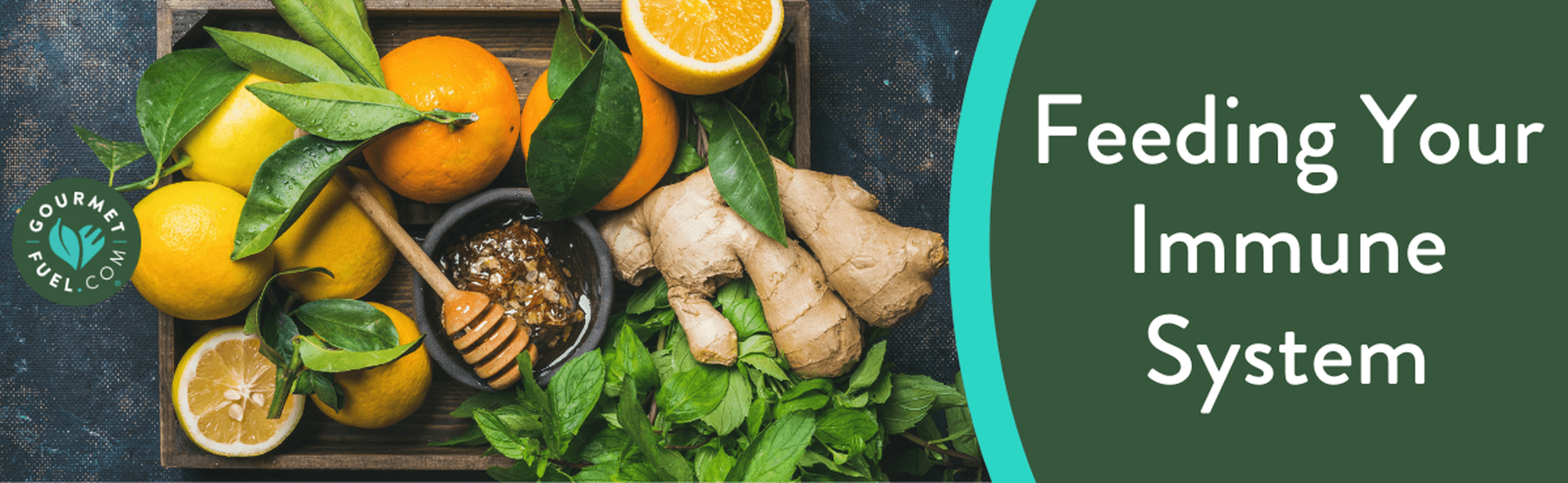 Feeding Your Immune System - GourmetFuel