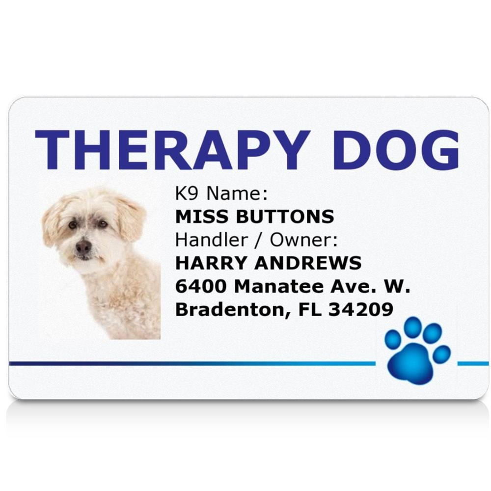 Therapy Dog ID Card with Blue Paw Print – Custom Dog Photo Badge for ...