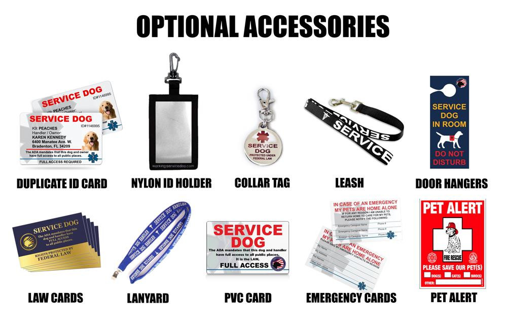 Seizure Alert Dog ID Card – No Photo Required, ADA-Compliant Identification