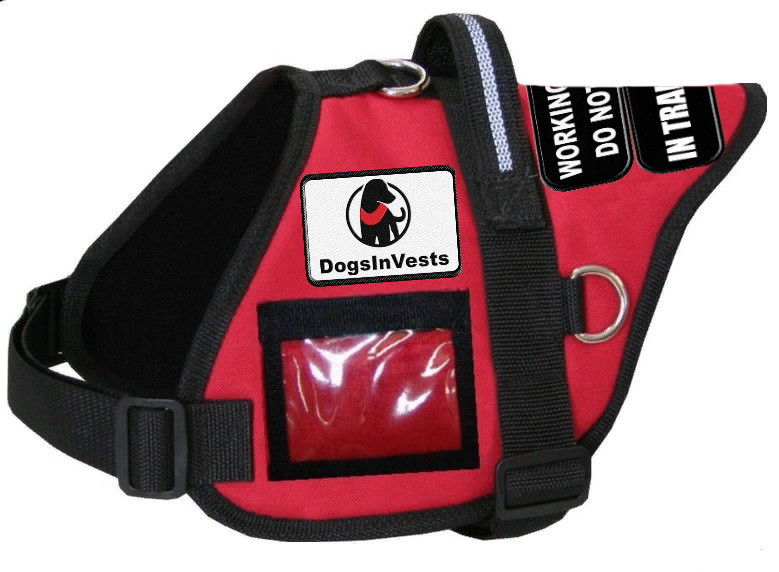 Dogs In Vests - Official In Training Padded Vest [Code Req]