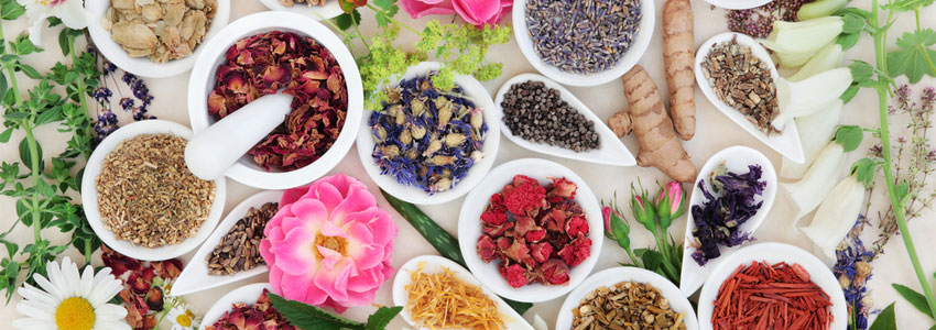 The Naturopathic Approach to Good Health - Australian NaturalCare ...