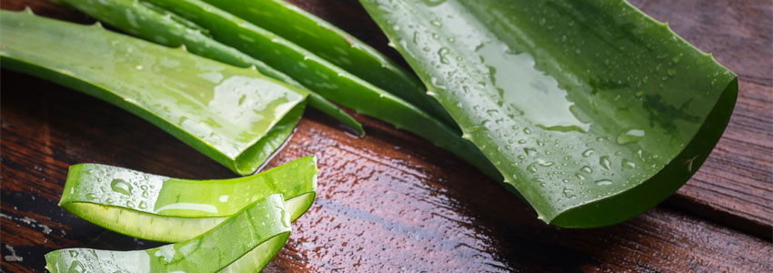 Home remedies to help treat sunburn - Australian NaturalCare ...