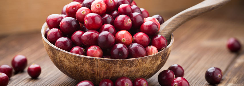 Cranberry for Cystitis - Australian NaturalCare | Australian NaturalCare