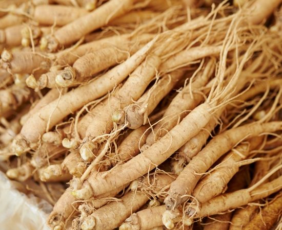 Welcome To Our Ingredient Spotlight on Korean Ginseng! - Australian ...