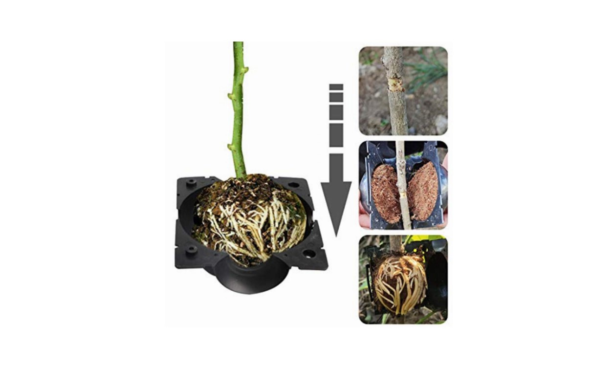 5cm Plant Root Growing Box High Pressure Cloning Grafting Propagation ...