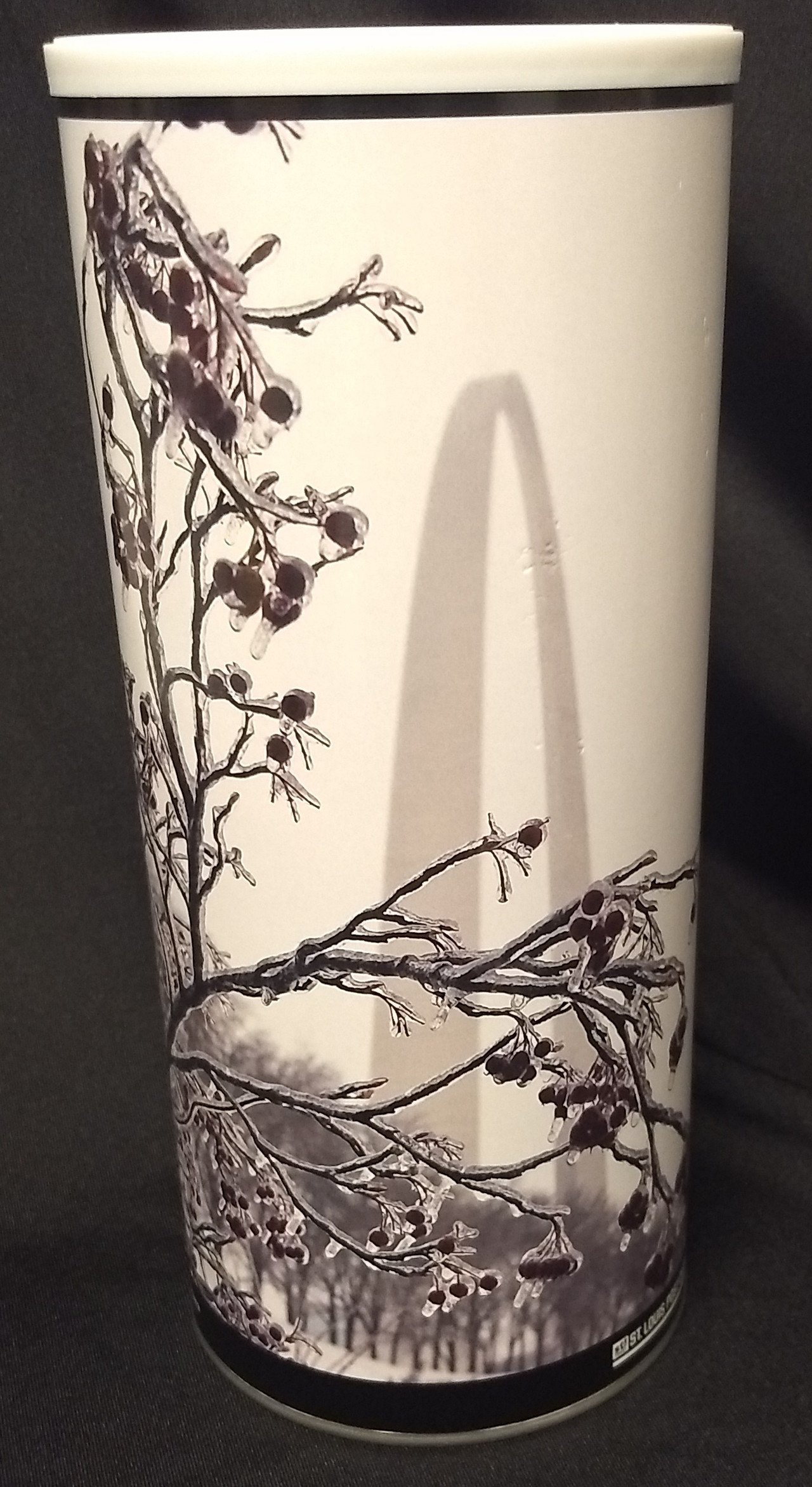 St. Louis Post-Dispatch Winter Under the Arch Photo Jigsaw Puzzle - St ...