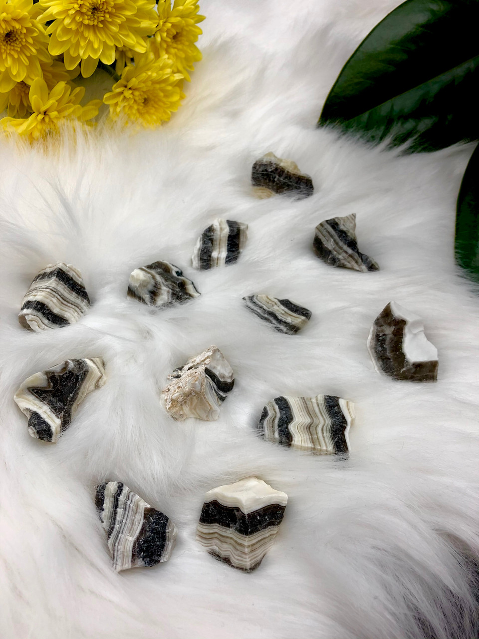 Zebra Calcite
