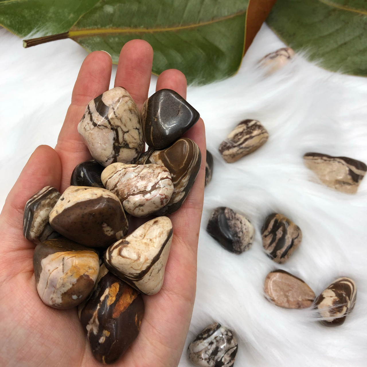 Zebra Jasper Tumbled Stone