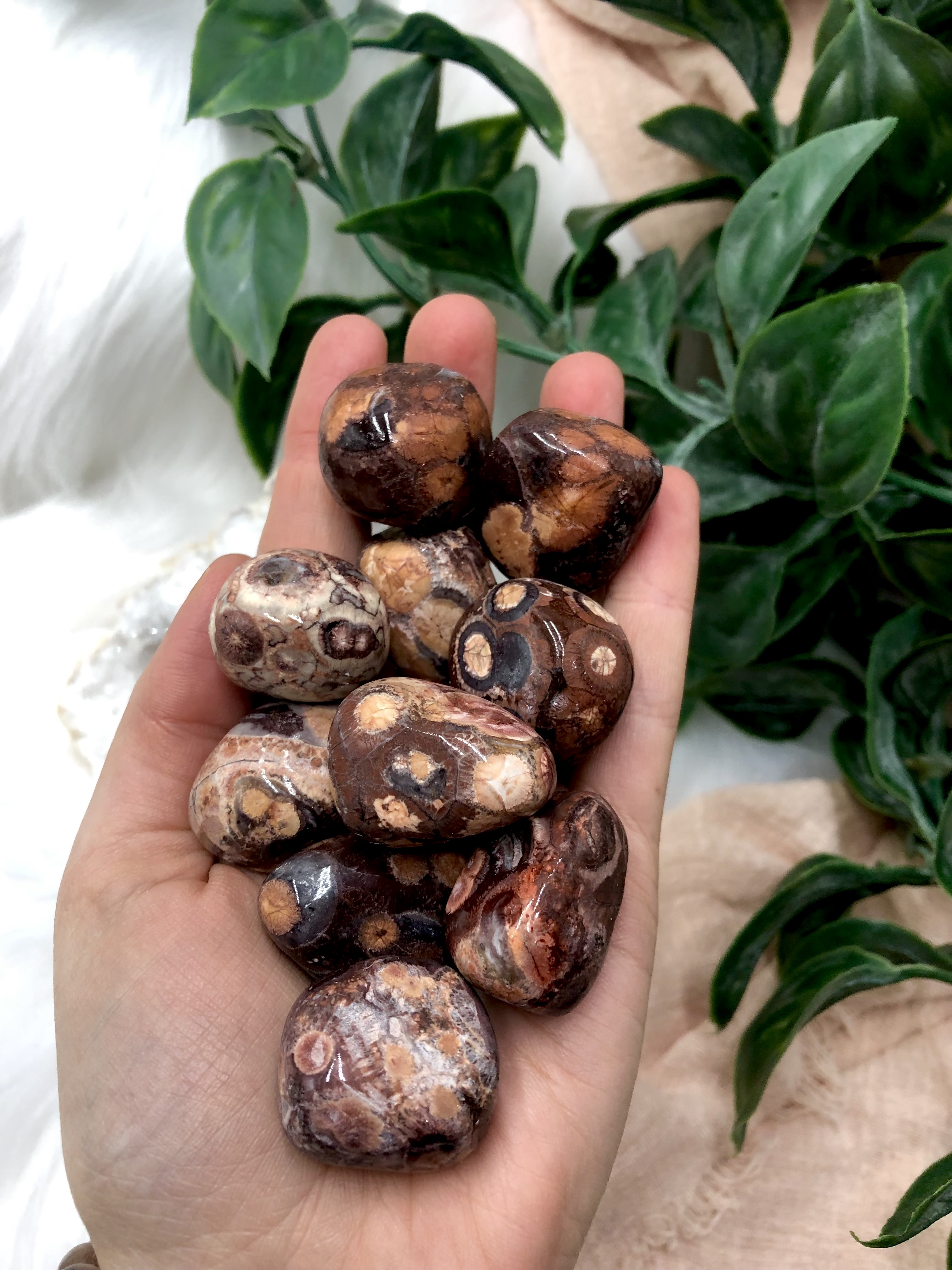 Bird's Eye Jasper - Energies and uses - Earth Child Provisions