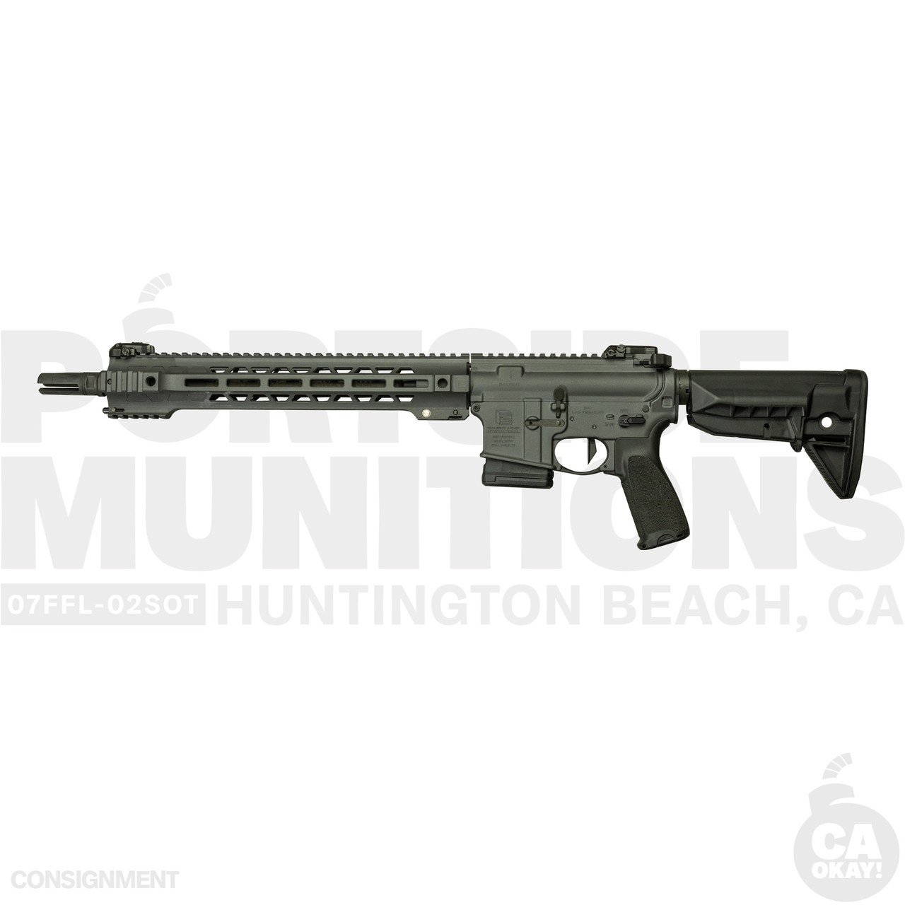 Salient Arms GRY Rifle