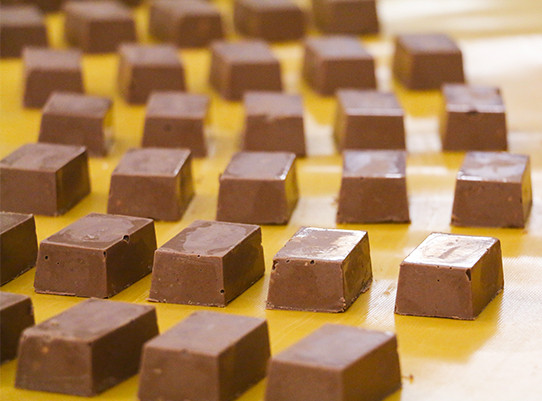 Hazelnut 5 Star Bar: Hazelnut Gourmet Chocolate Bars