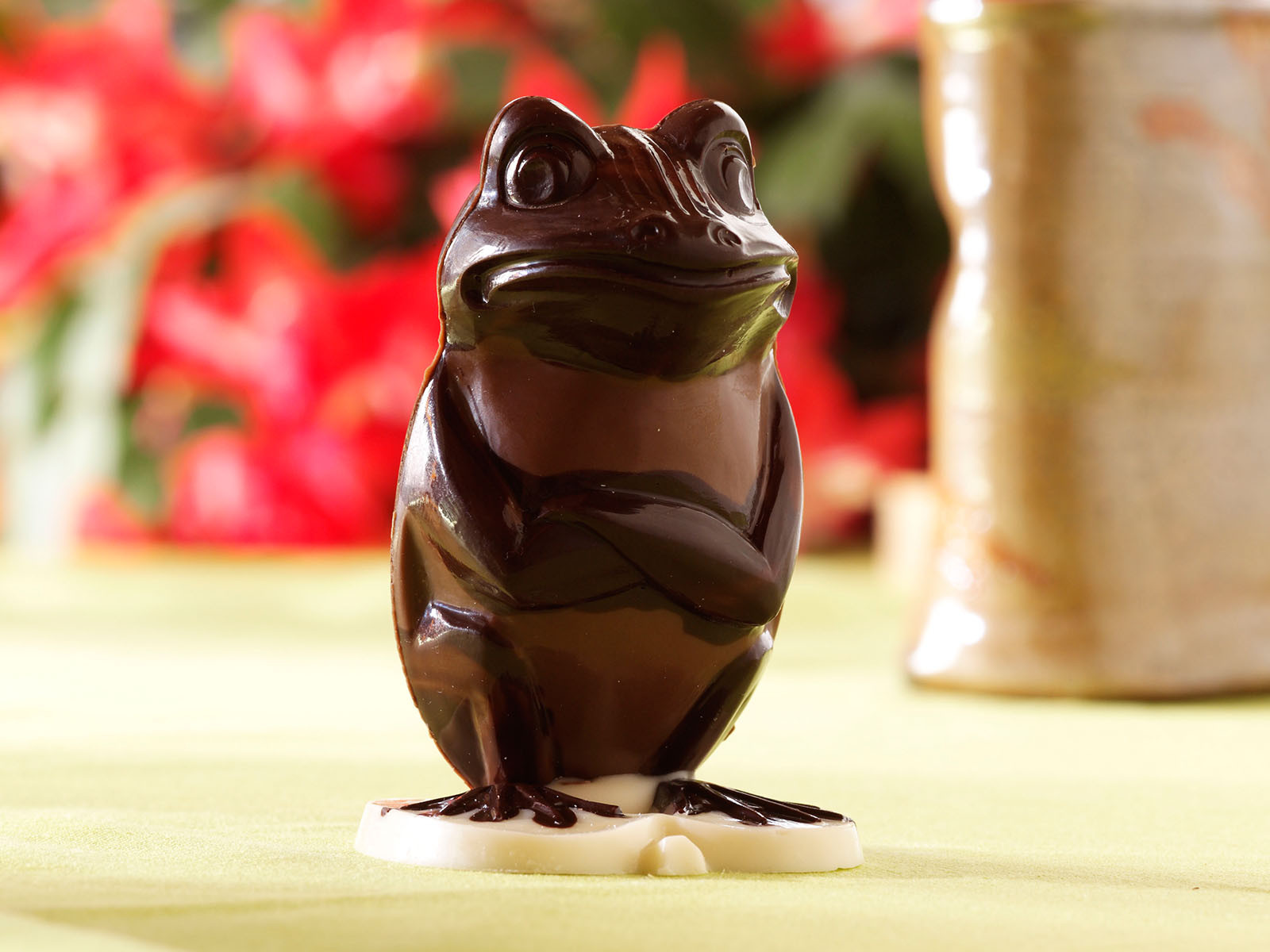 Chocolate Frog | Lake Champlain Chocolates