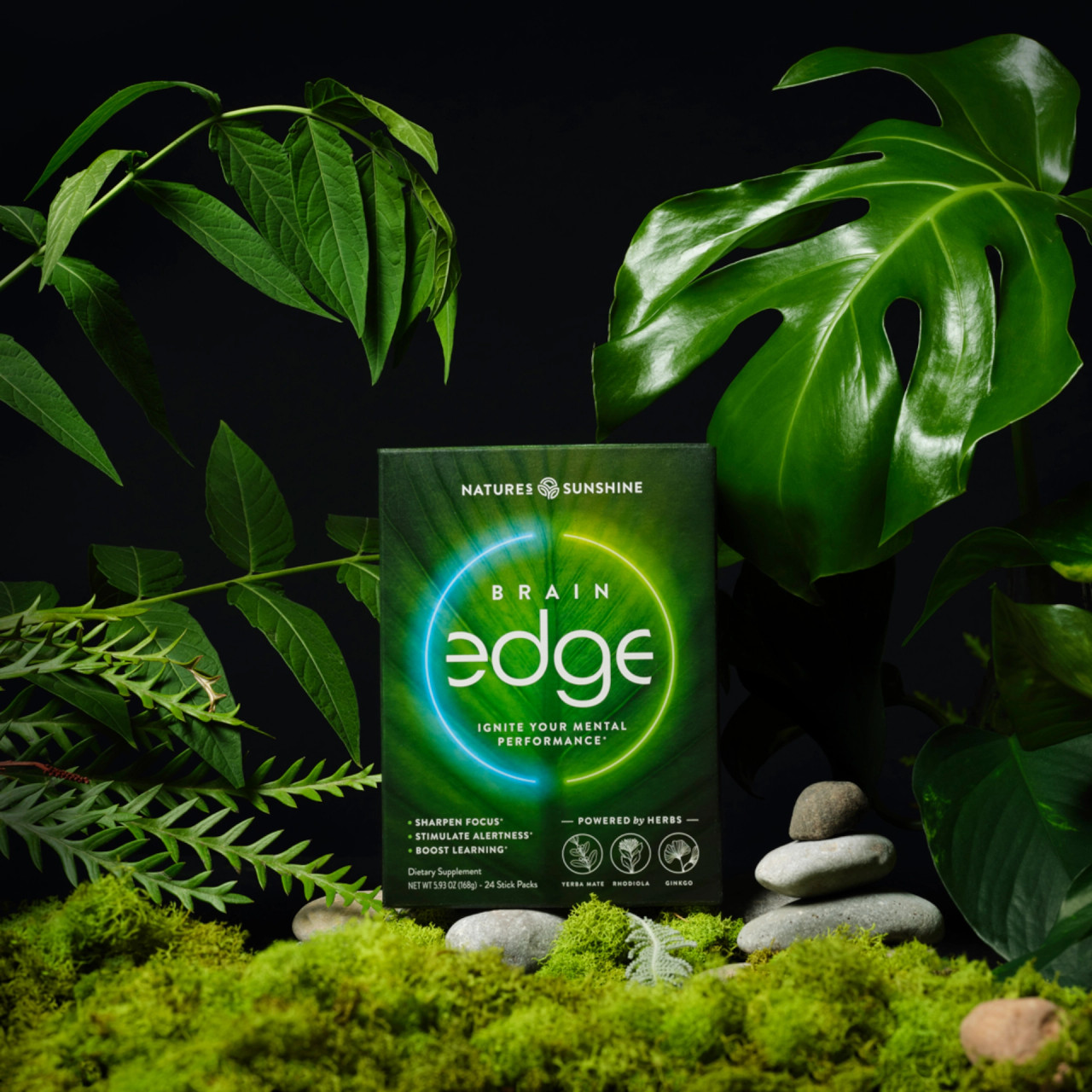 Brain Edge (24 CT)