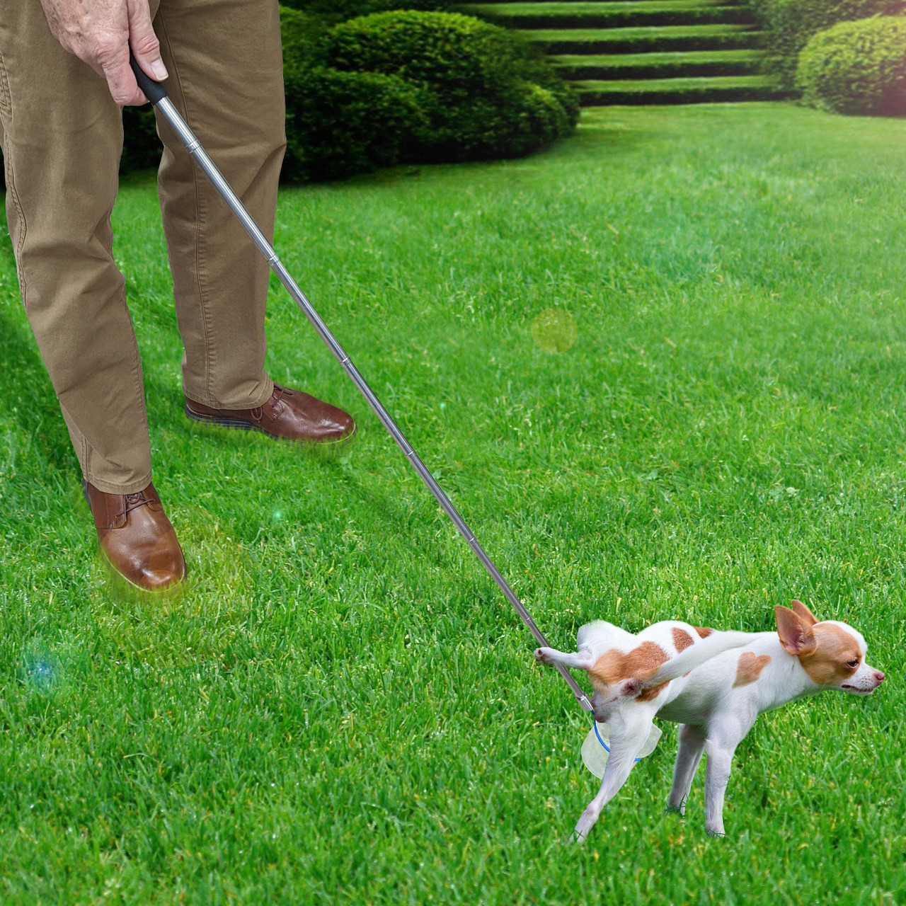 PetTest i-Catch Telescoping Urine Specimen Collection Pole (852982006941)