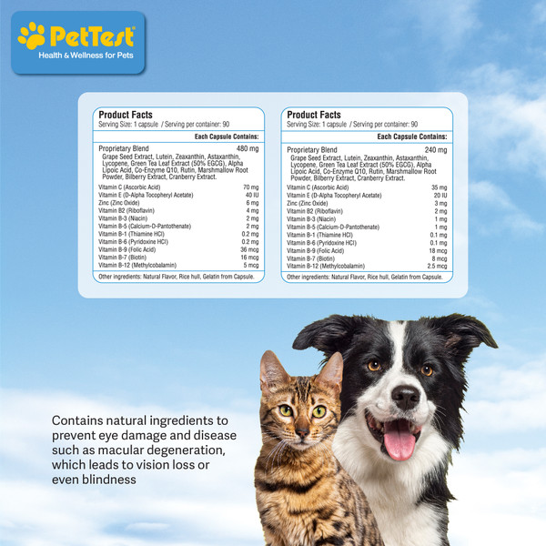 OCUPET Eye Supplement for Medium to Large Dogs (850033879193)