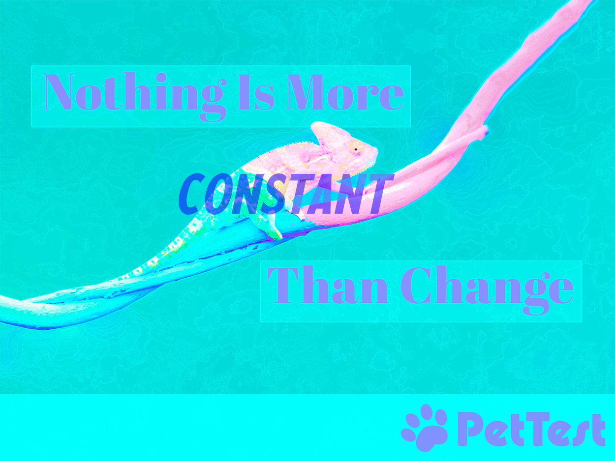 Nothing Is More Constant Than Change - PetTest by Advocate
