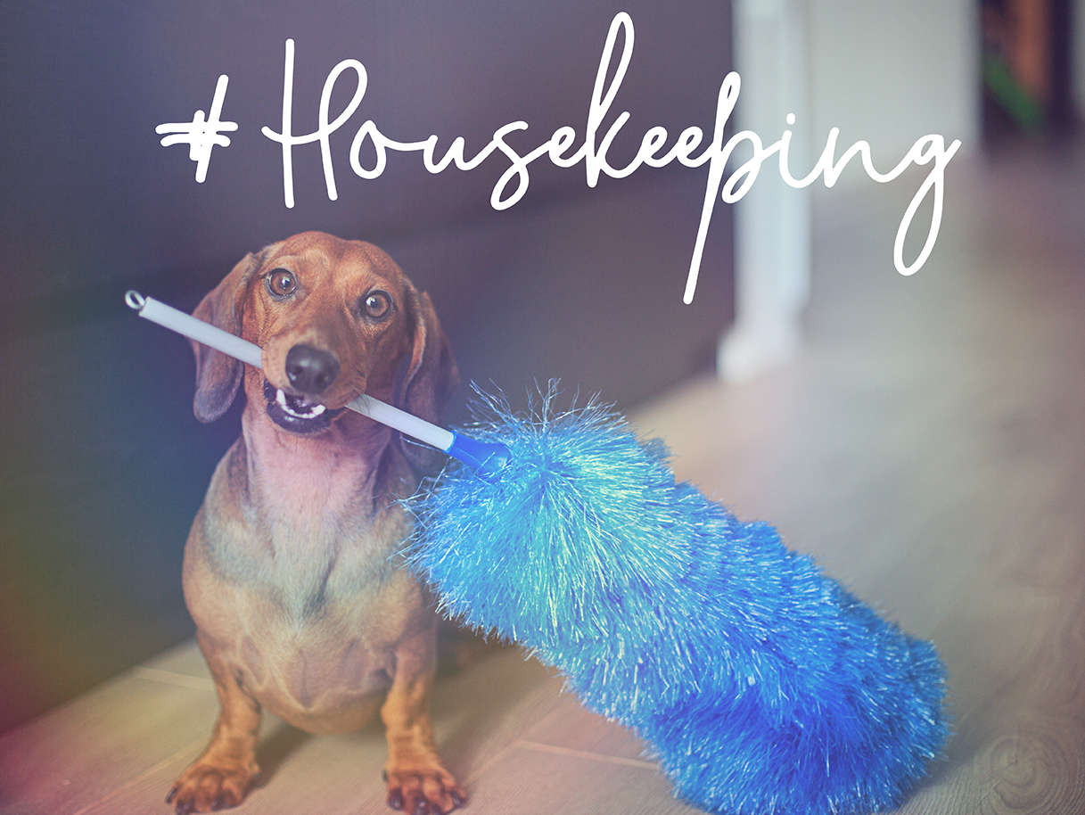 Let's do a little "Housekeeping"... - PetTest by Advocate