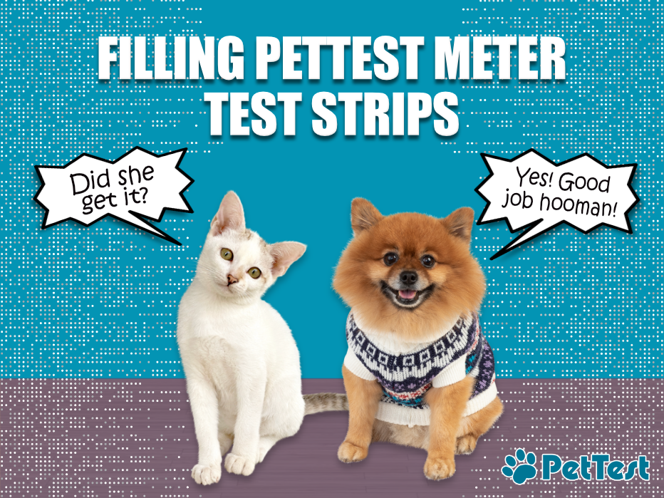 Filling PetTest Blood Glucose Test Strips - PetTest by Advocate