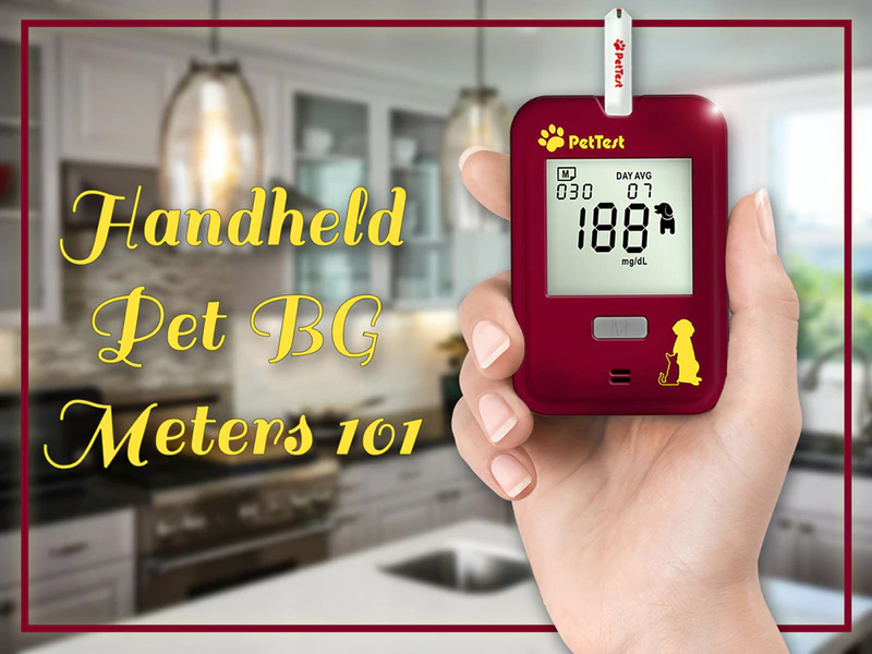 Handheld Meters 101 for Your Diabetic Dog - PetTest by Advocate
