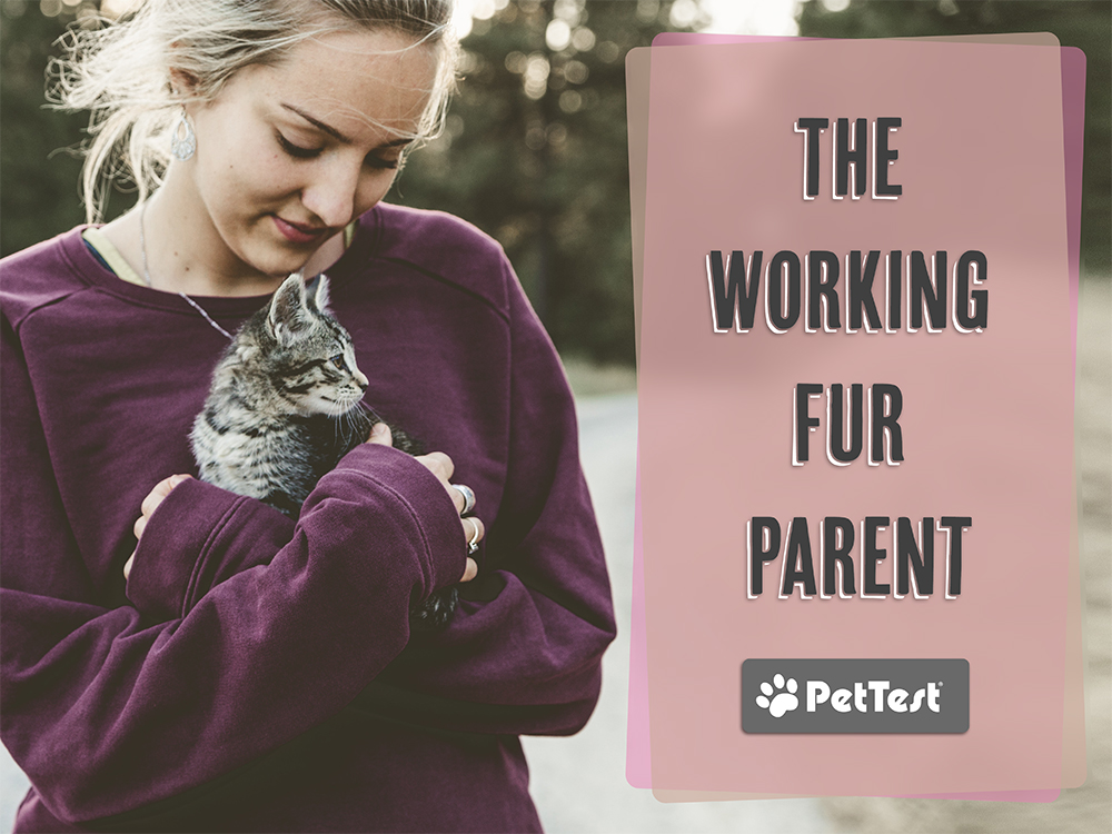 The Working Fur Parent - PetTest by Advocate